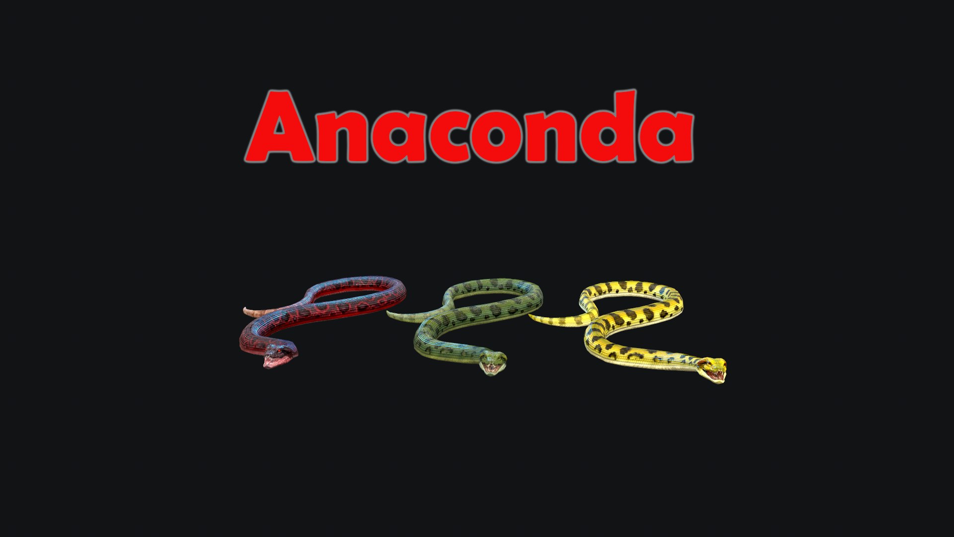 3D Anaconda Animation - TurboSquid 2006289