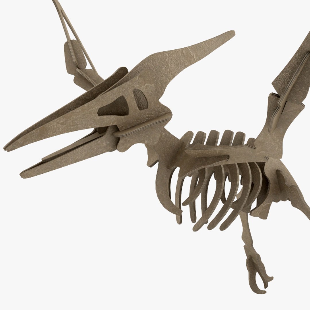 Cardboard Pteranodon Max