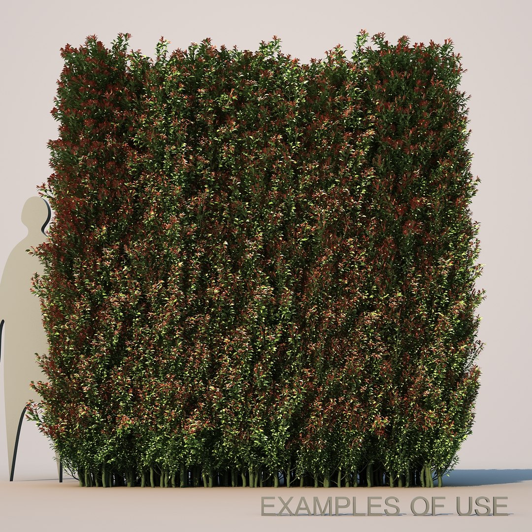 Tree Scatter 3D Model - TurboSquid 1168634