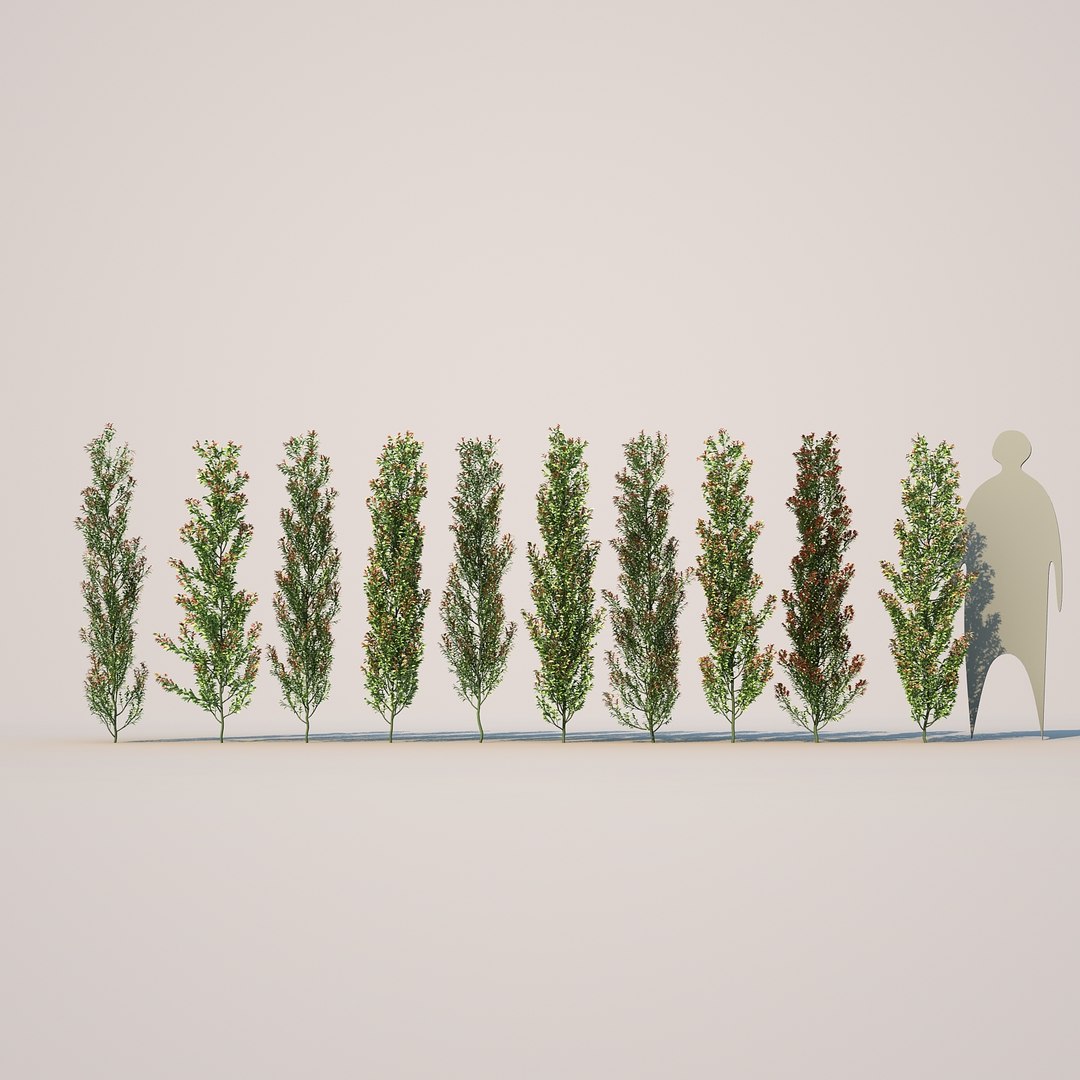 Tree Scatter 3D Model - TurboSquid 1168634