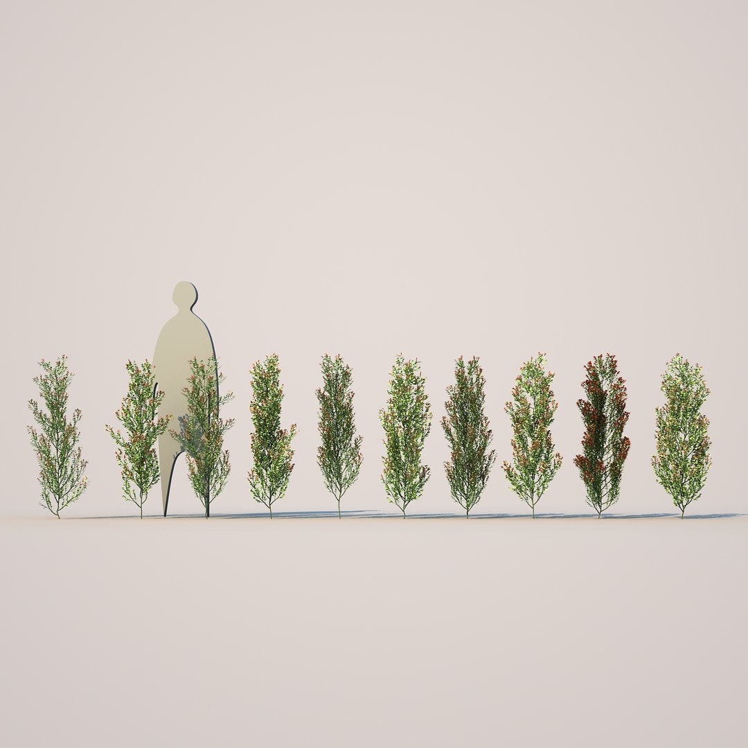 Tree Scatter 3D Model - TurboSquid 1168634