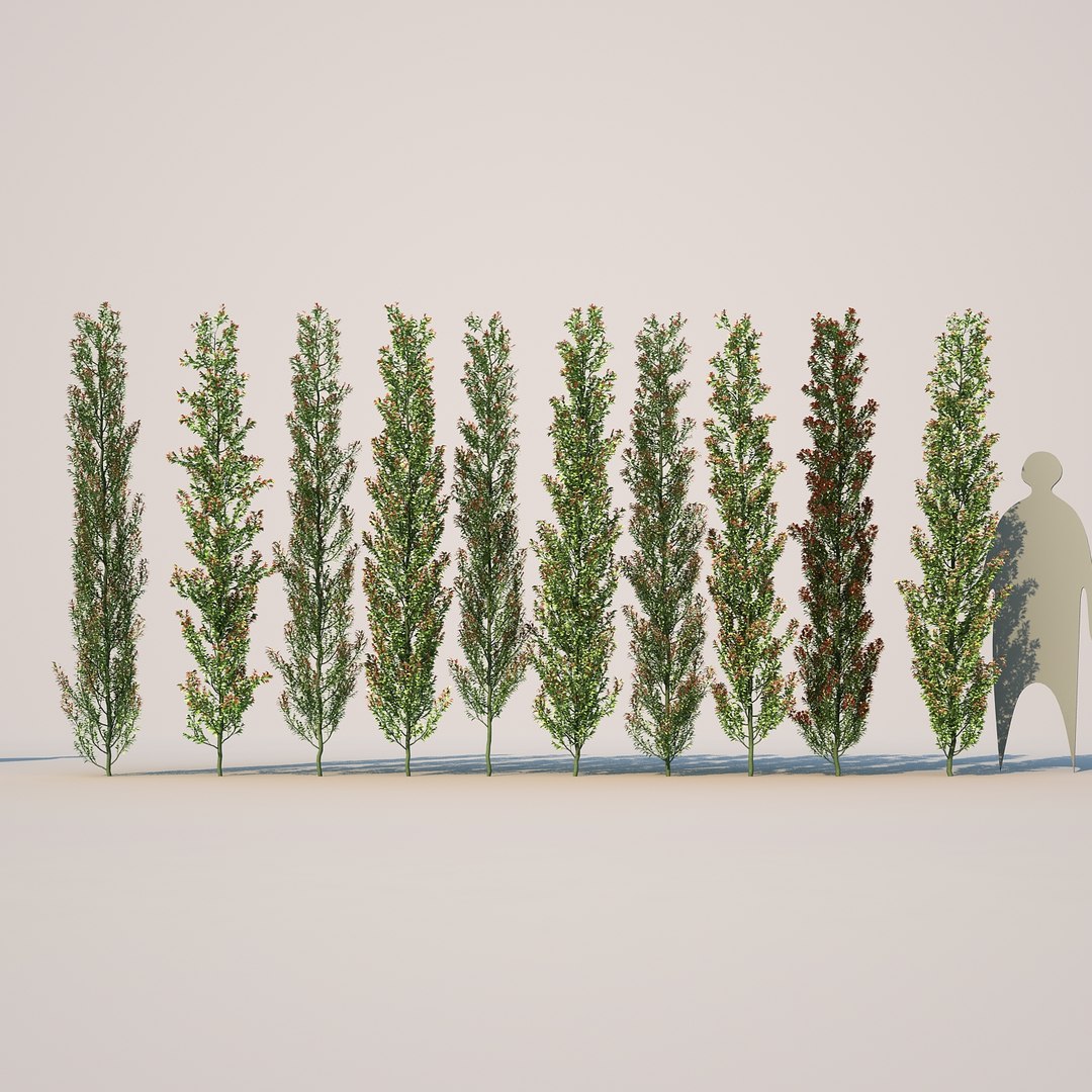 Tree Scatter 3D Model - TurboSquid 1168634