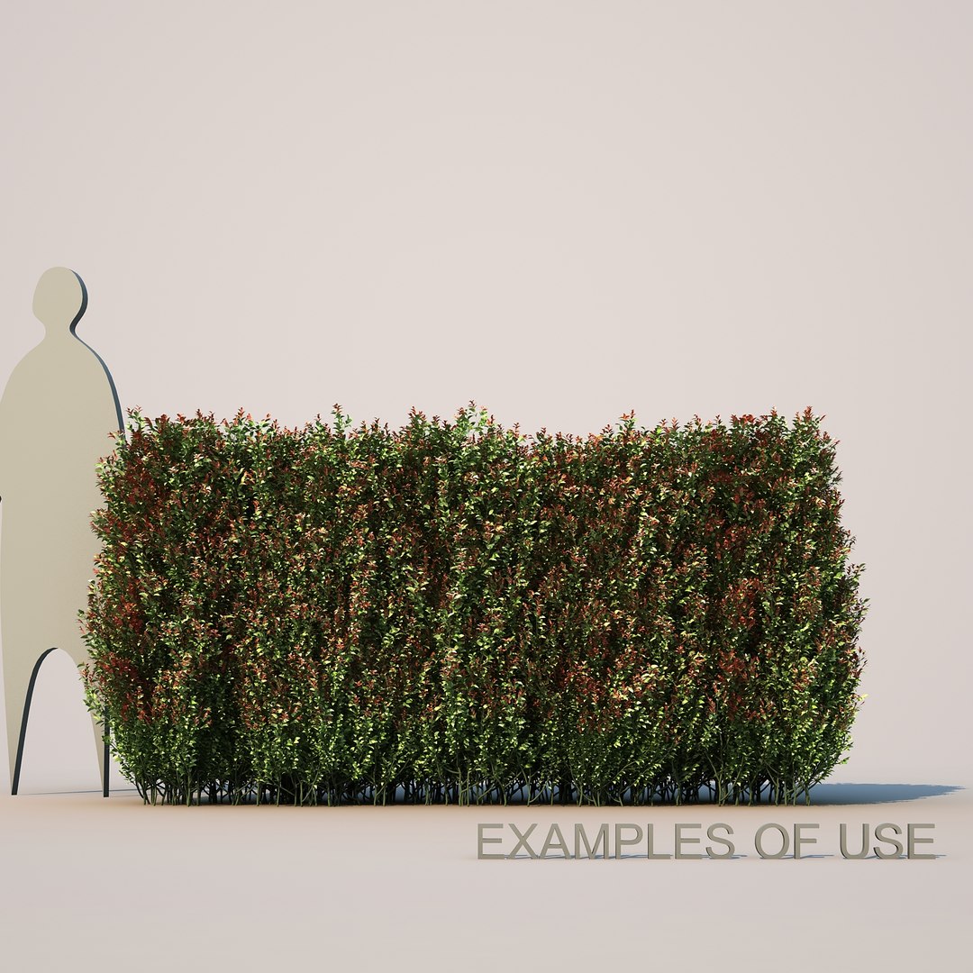 Tree Scatter 3D Model - TurboSquid 1168634