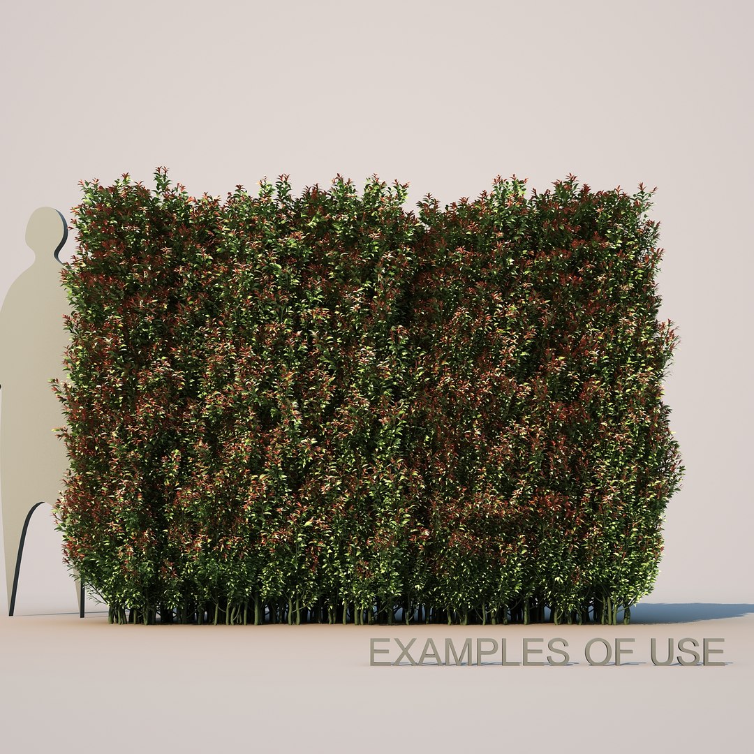 Tree Scatter 3D Model - TurboSquid 1168634