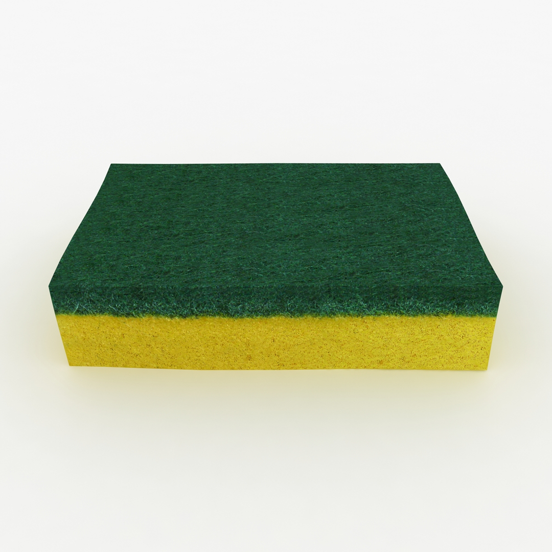 3d Model Sponge Scanline Clean