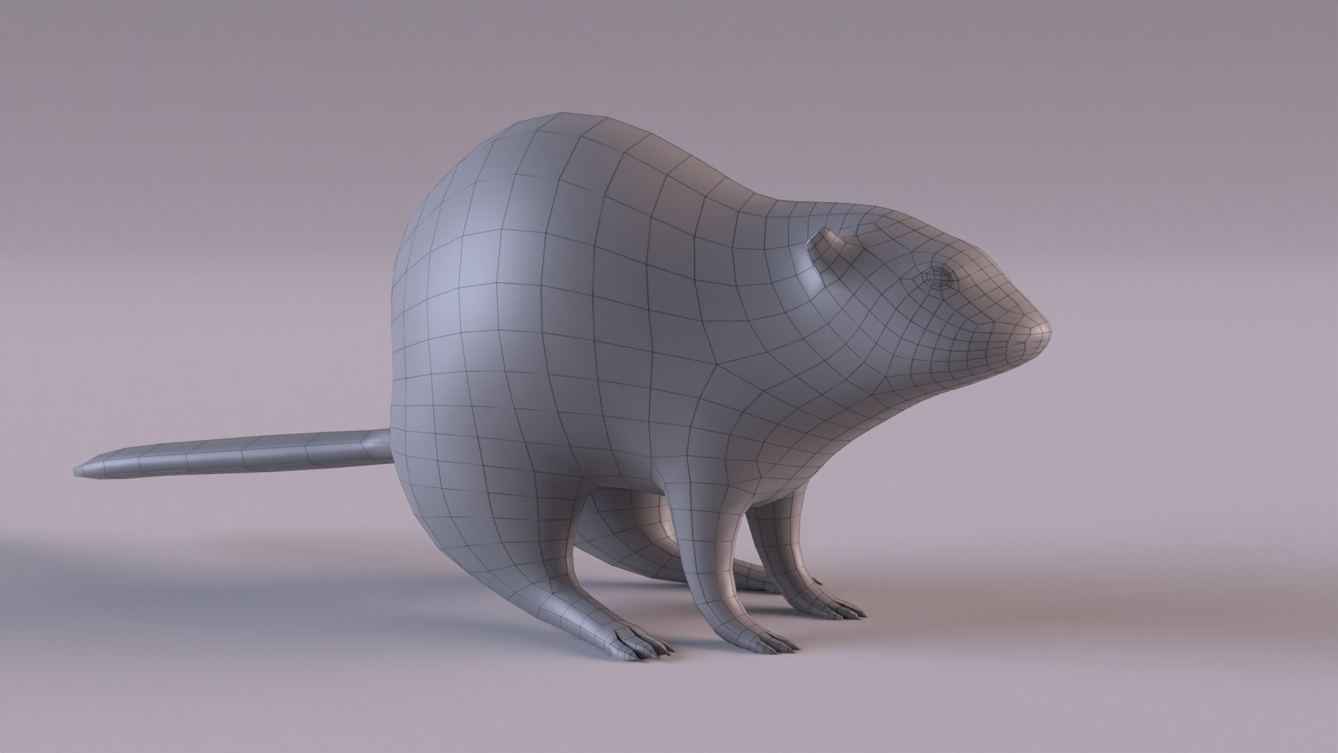 Beaver 3D Model - TurboSquid 1218214