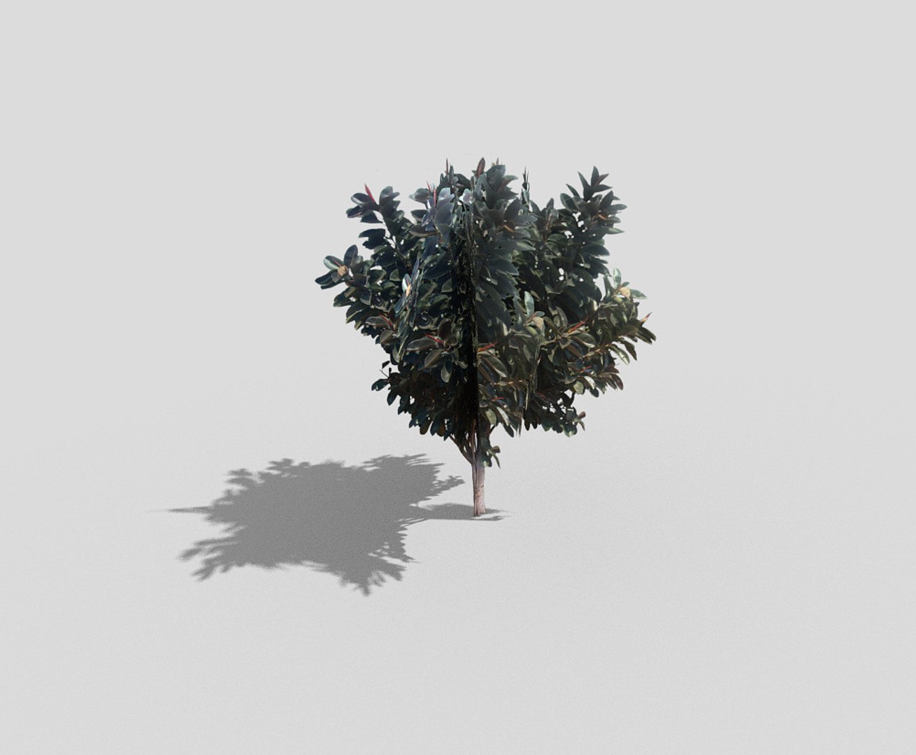 3d Model Tree