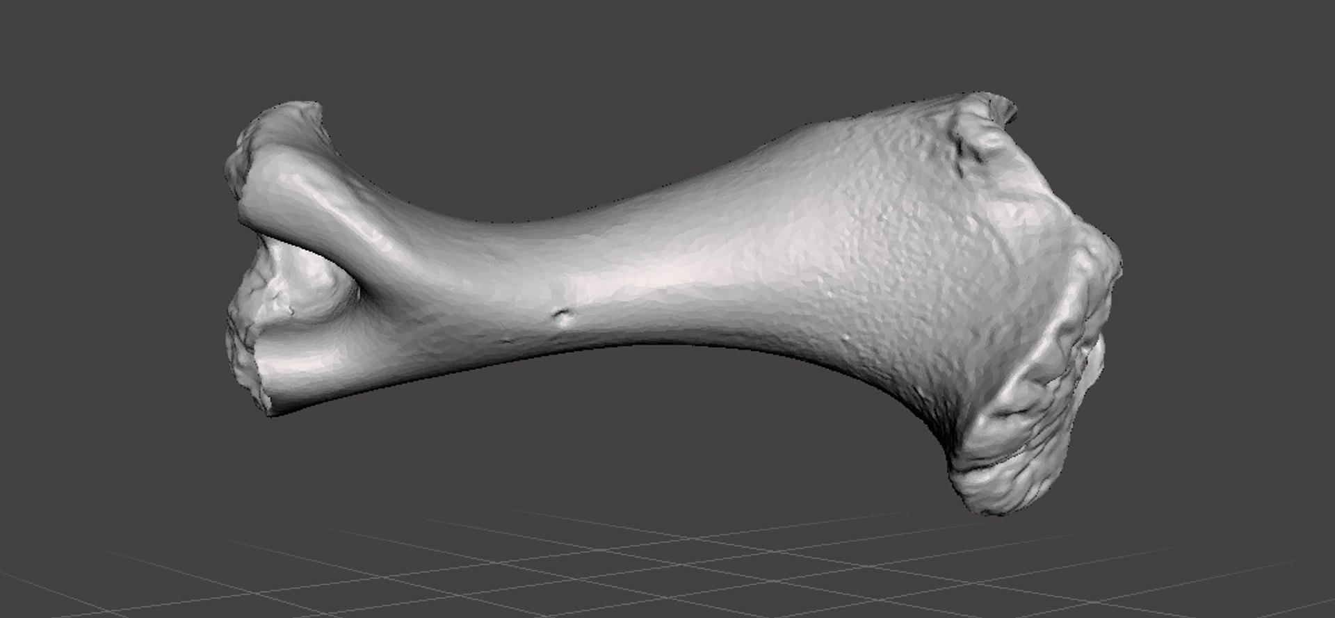 Pig Bone 3d Obj