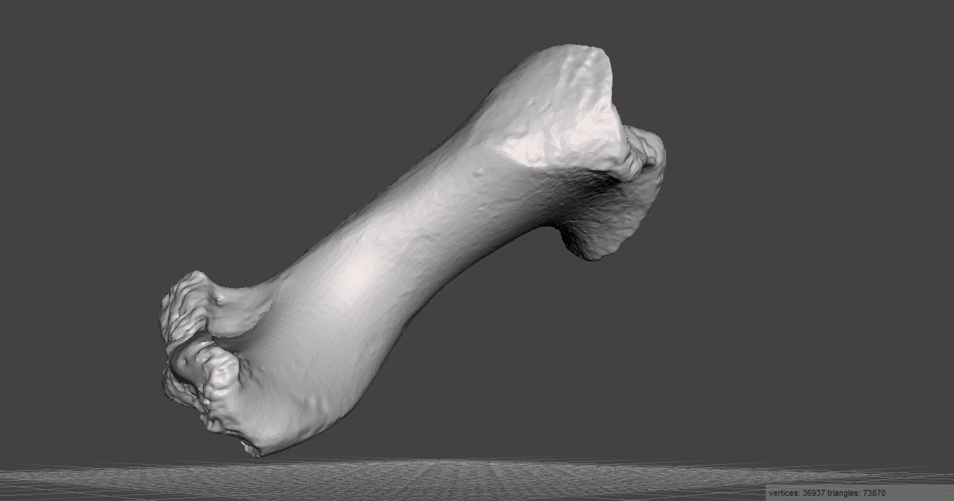 Pig Bone 3d Obj