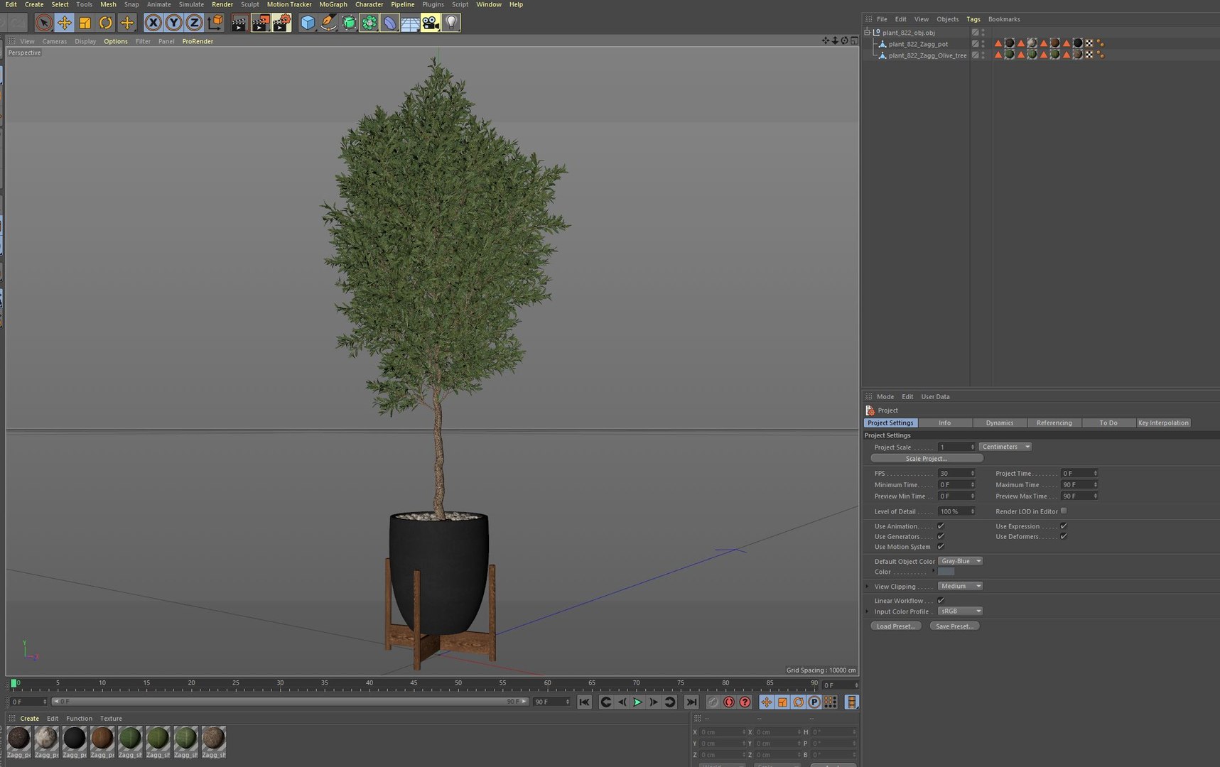 Plants Collection 822 Model - TurboSquid 1963743