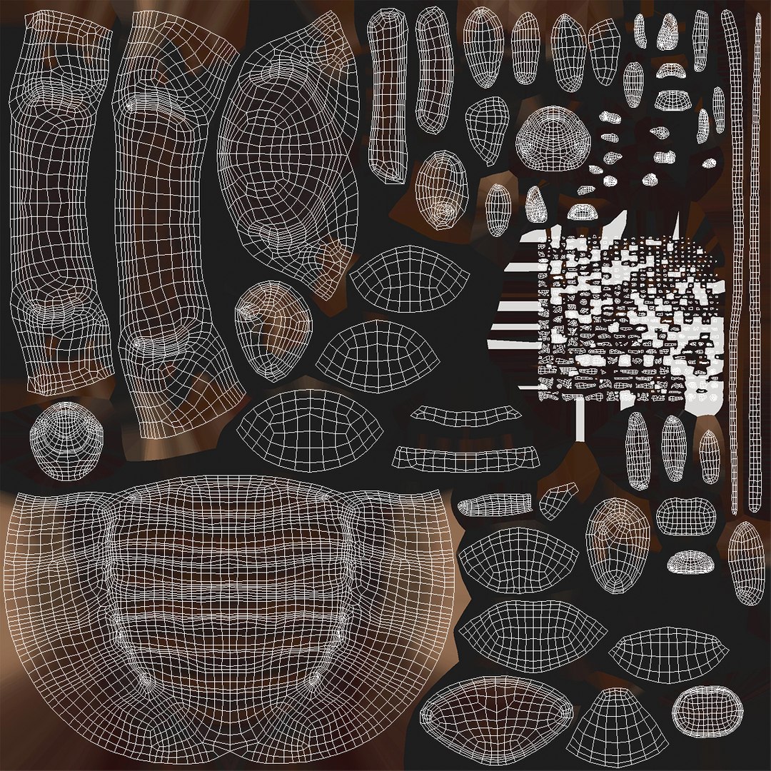 3D Cryptocercus Clevelandi With Fur Model - TurboSquid 2155511