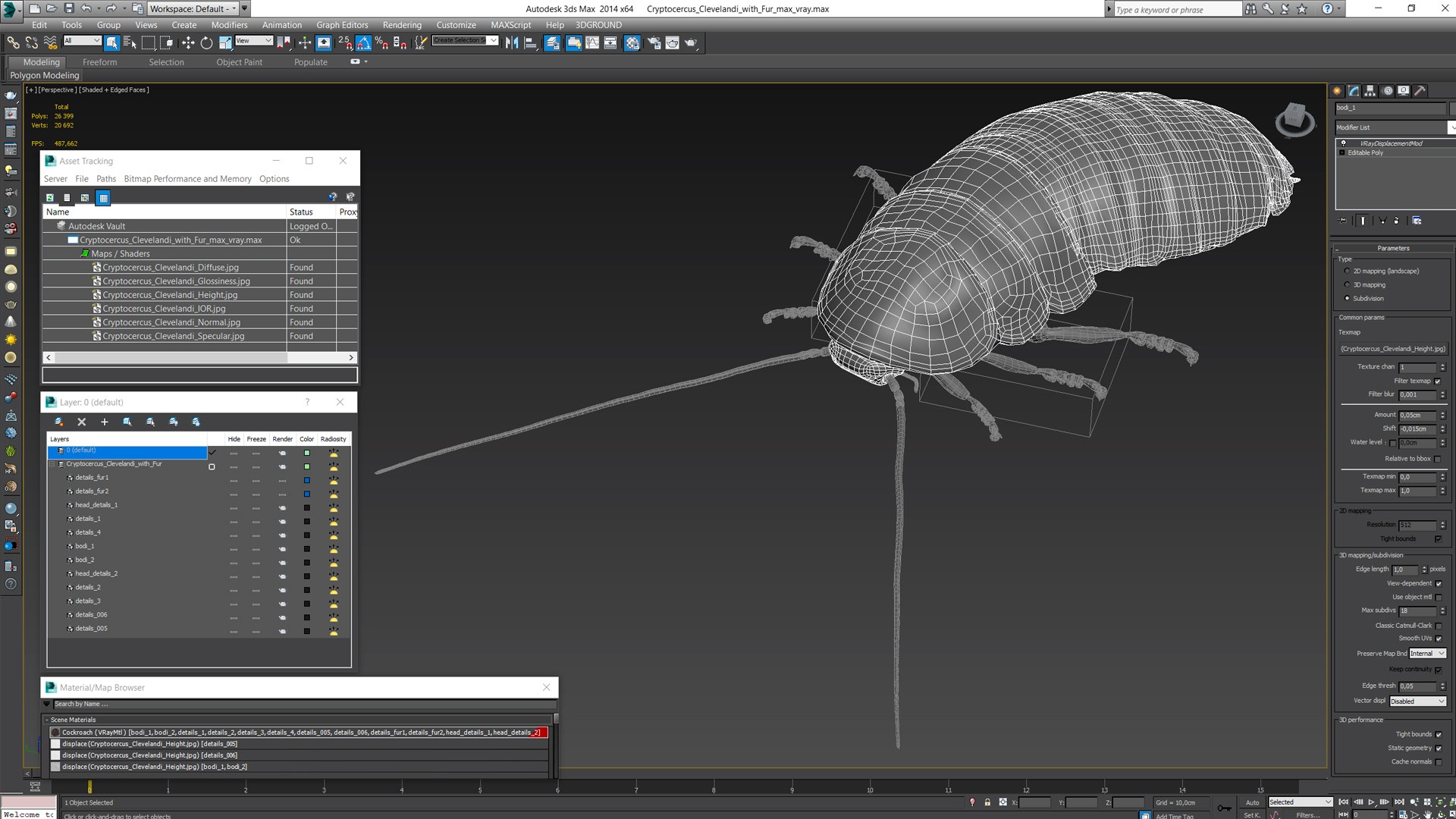 3D Cryptocercus Clevelandi With Fur Model - TurboSquid 2155511