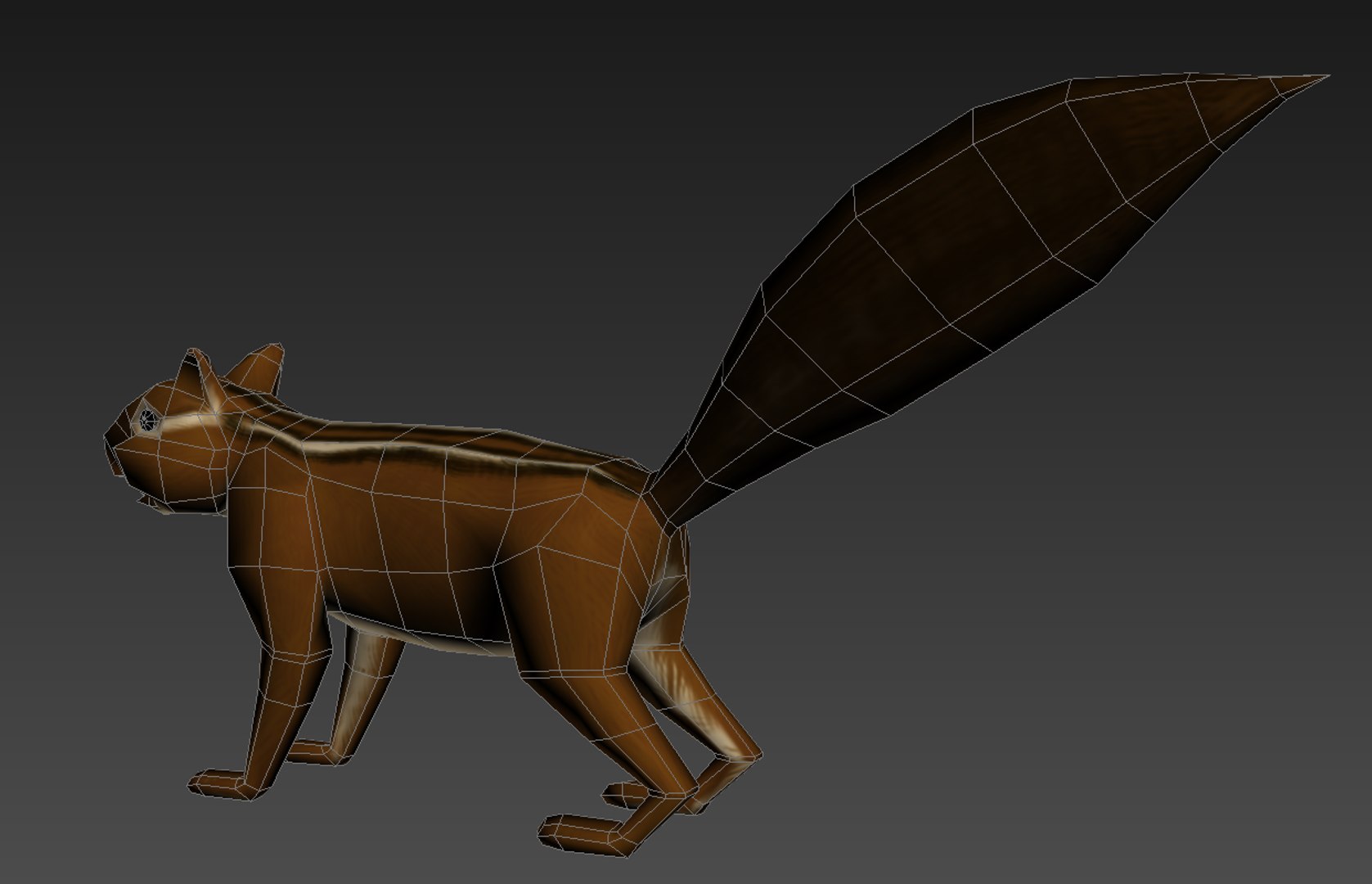 Squirrel 3d Model