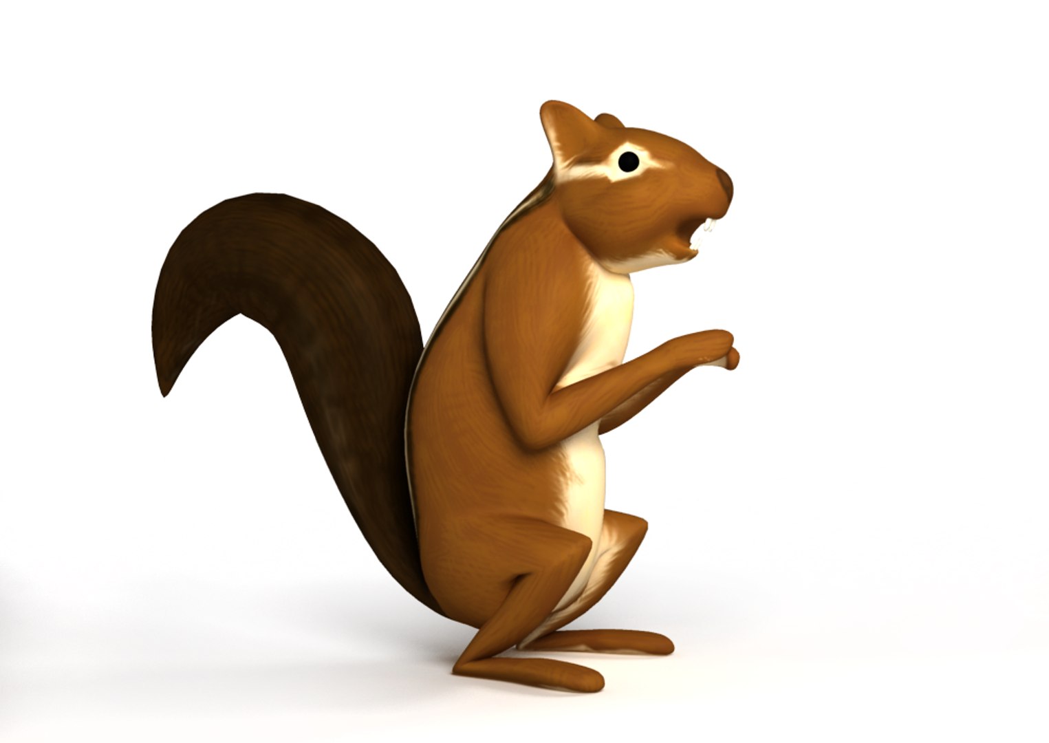 Squirrel 3d Model