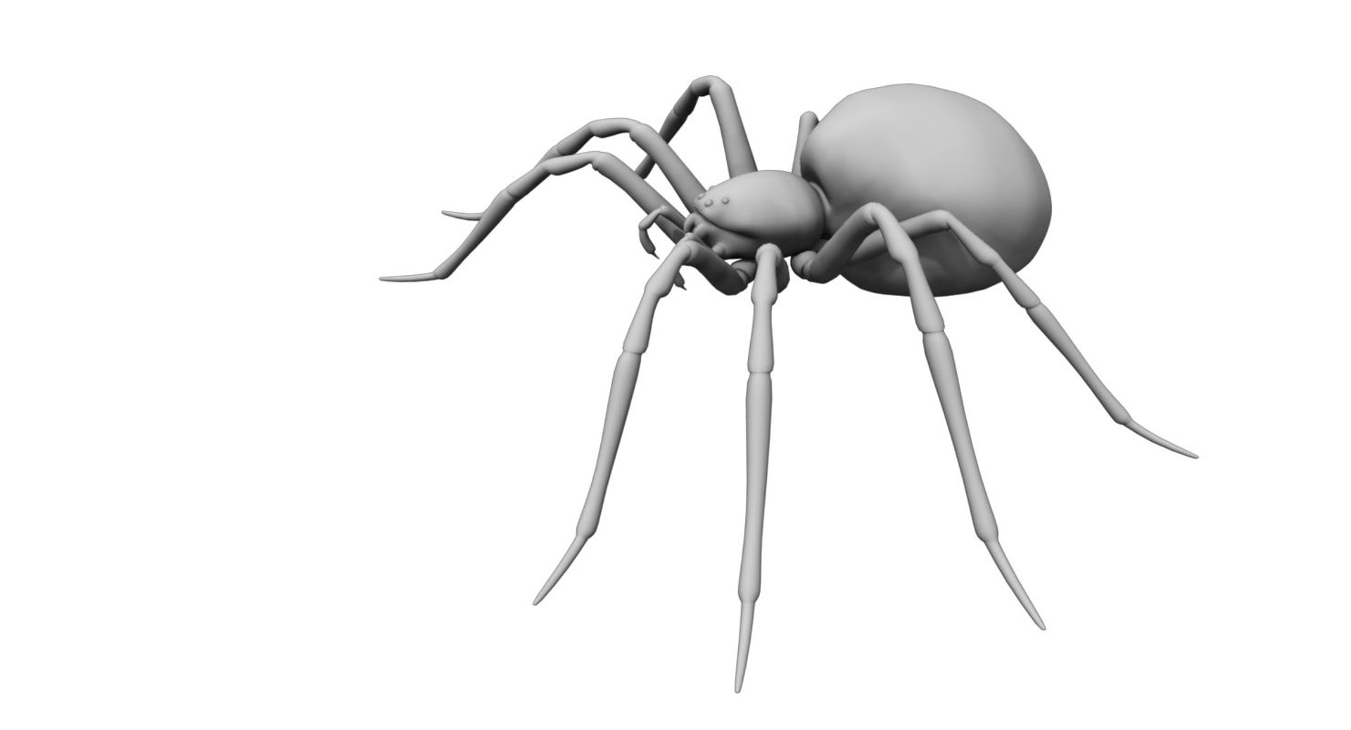 Spider 3D - TurboSquid 1435794
