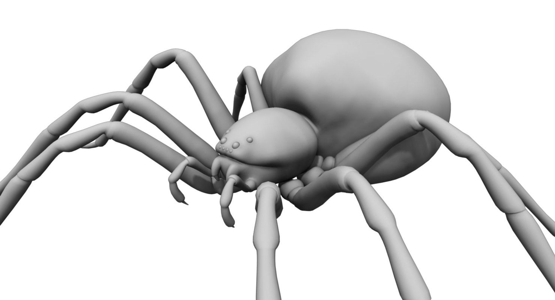 Spider 3D - TurboSquid 1435794