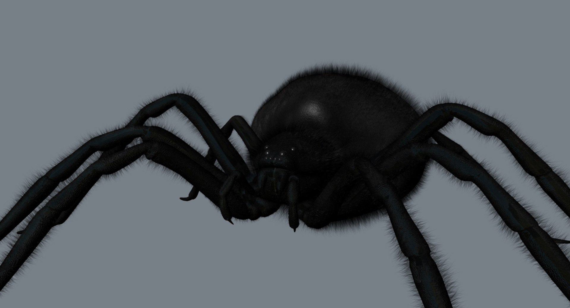 Spider 3D - TurboSquid 1435794