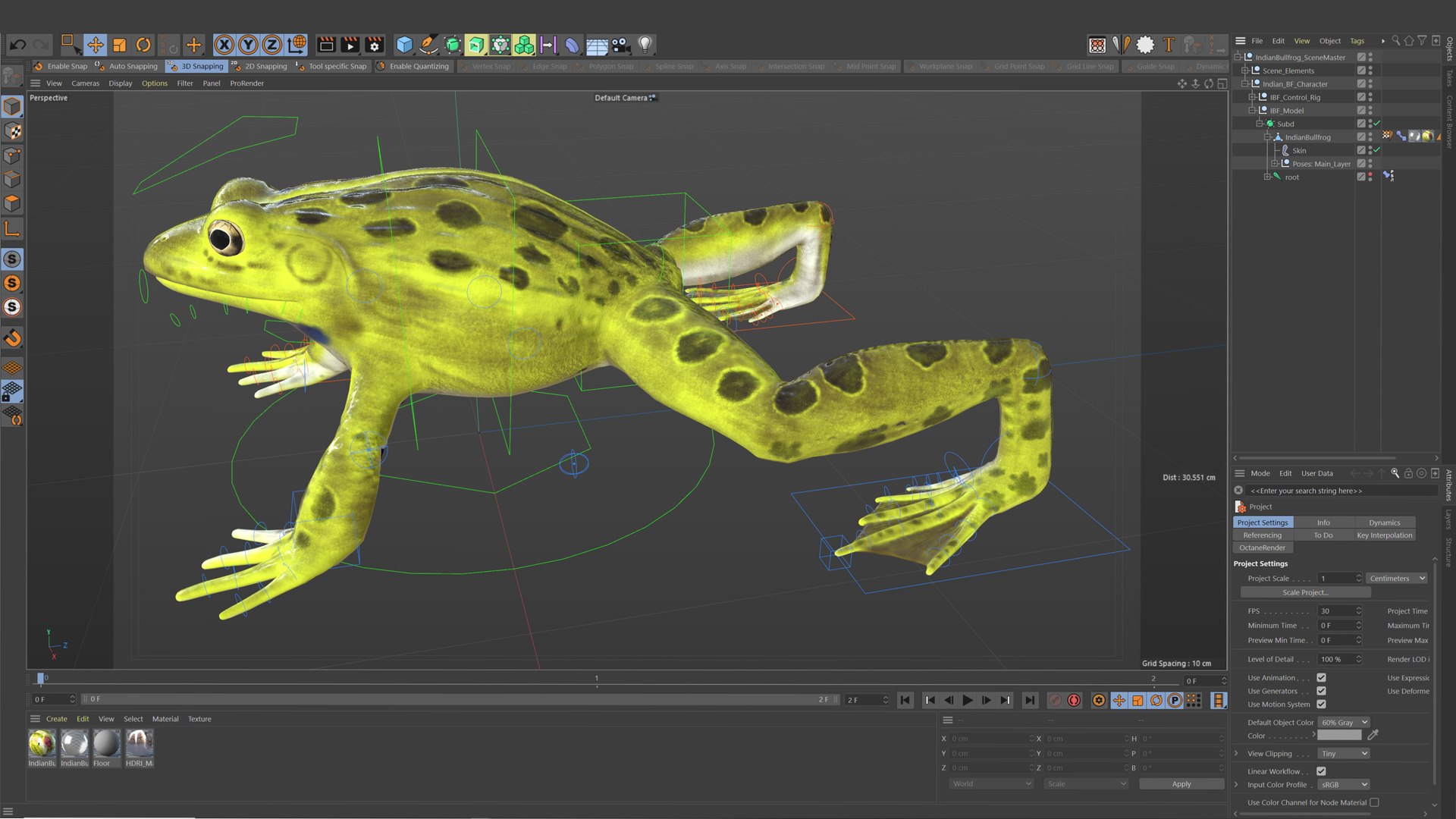 3D Indian Bullfrog - Rigged Model - TurboSquid 2031802