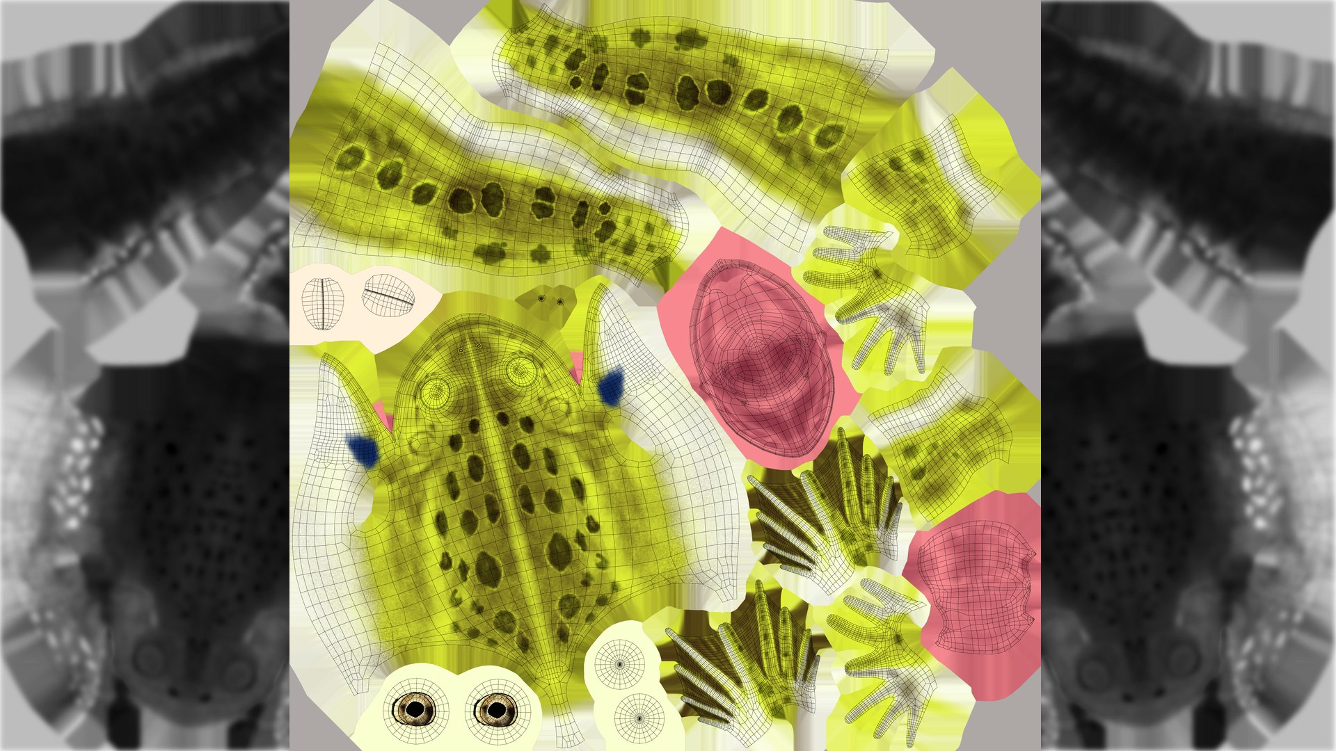 3D Indian Bullfrog - Rigged Model - TurboSquid 2031802