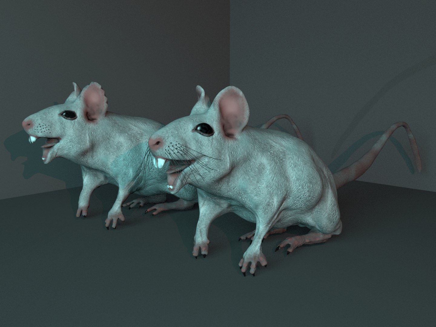 3D Mouse Rat Rodent - TurboSquid 1504631