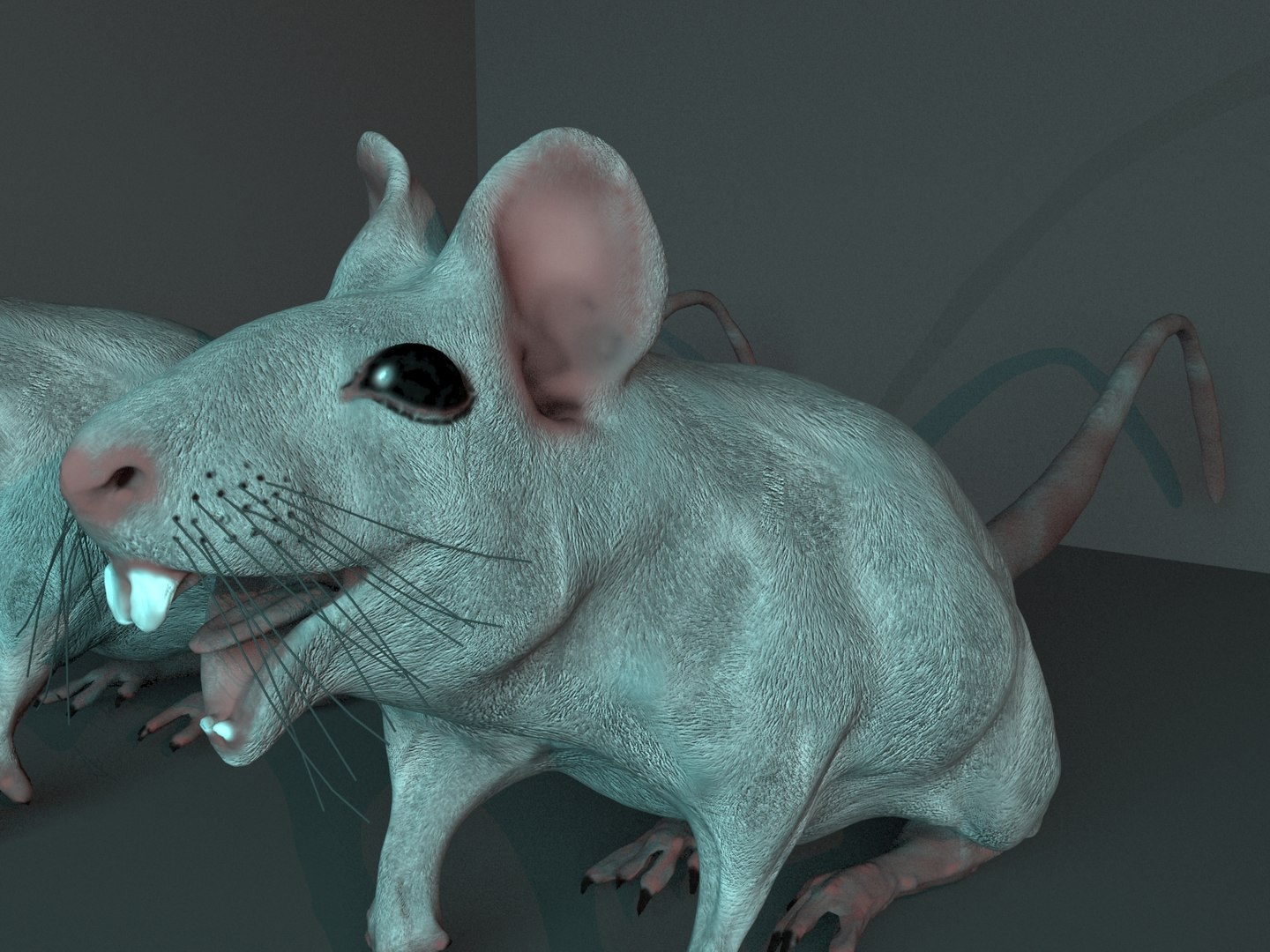 3D Mouse Rat Rodent - TurboSquid 1504631