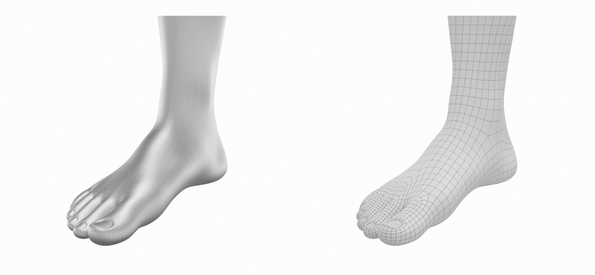 Human Feet In Standing Position Base Mesh Model - TurboSquid 2156412