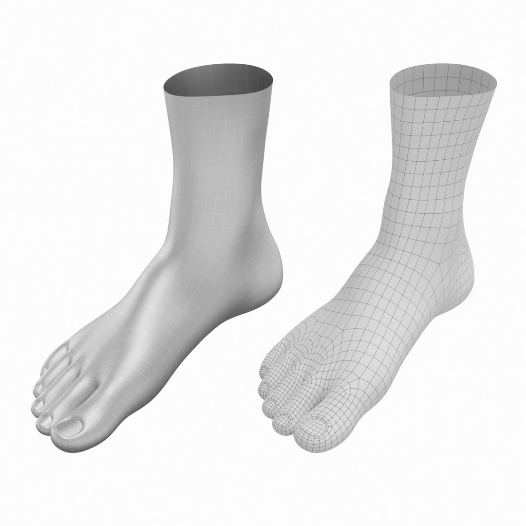 Human Feet In Standing Position Base Mesh Model - TurboSquid 2156412