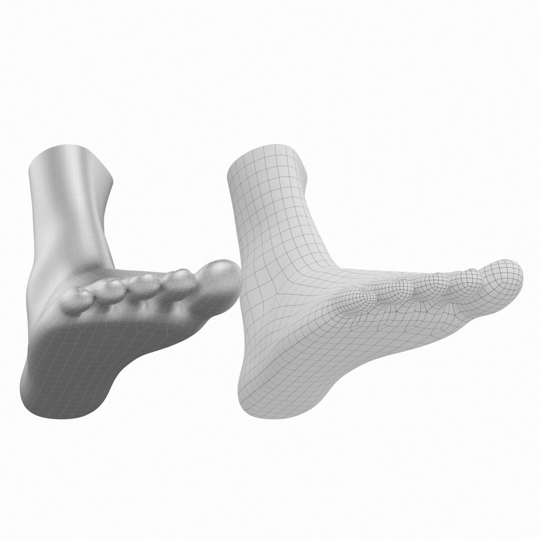 Human Feet In Standing Position Base Mesh Model - TurboSquid 2156412