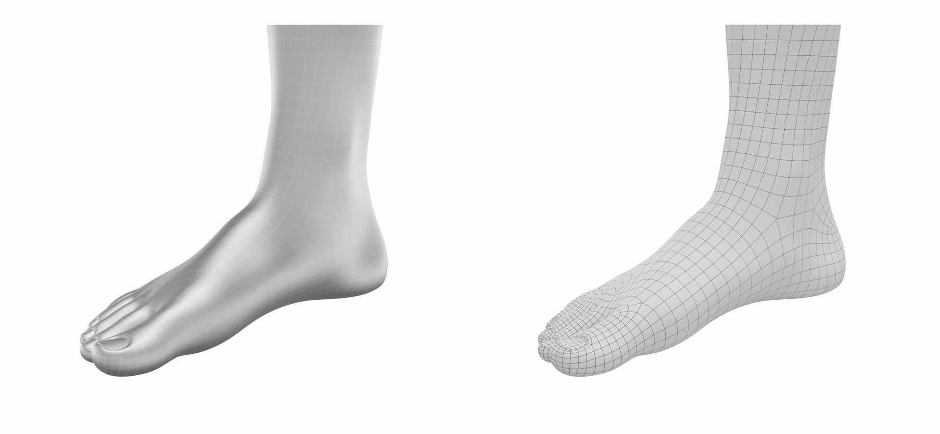 Human Feet In Standing Position Base Mesh Model - TurboSquid 2156412