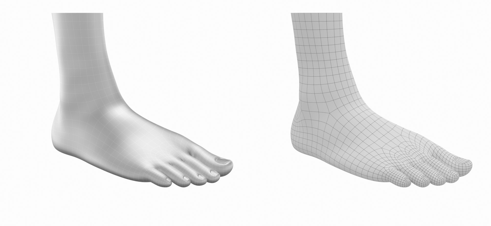 Human Feet In Standing Position Base Mesh Model - TurboSquid 2156412