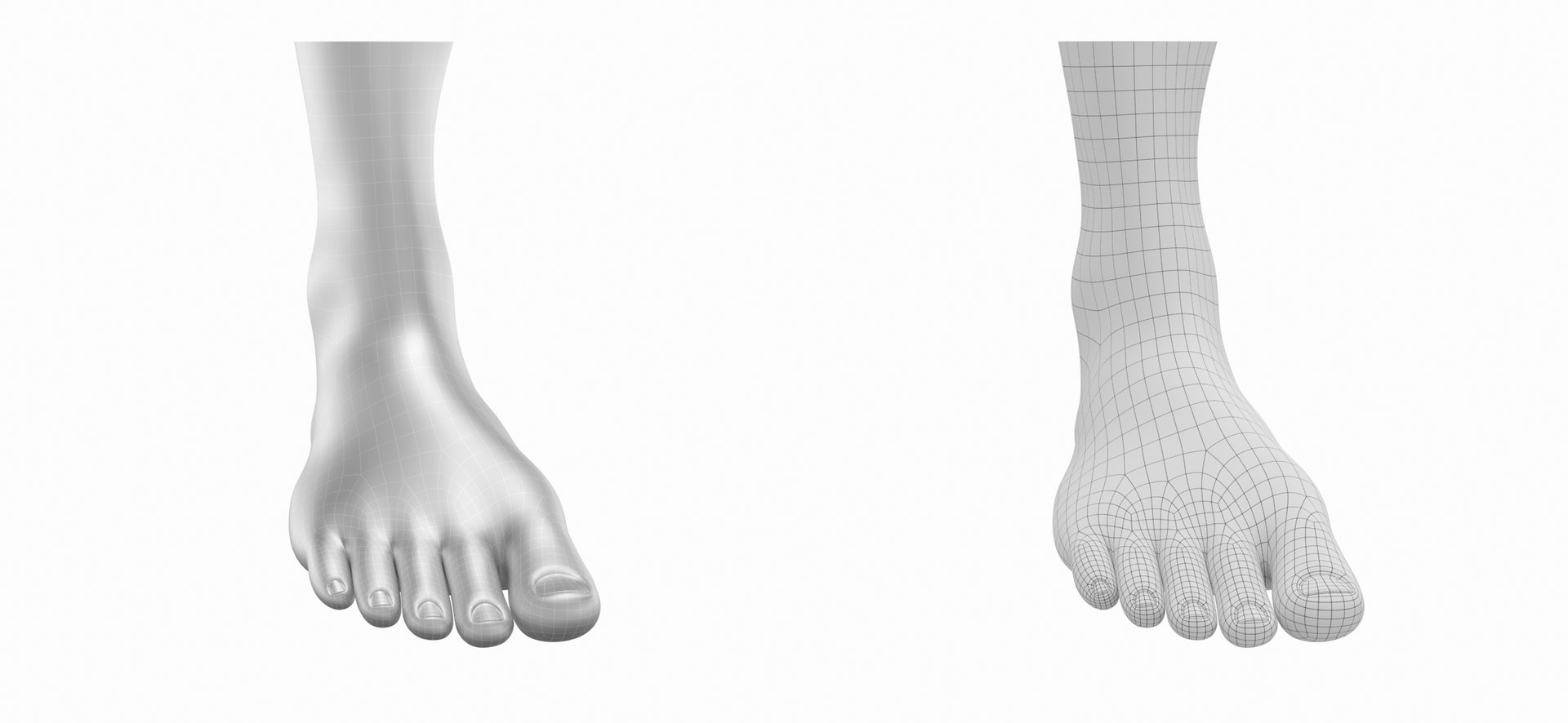Human Feet In Standing Position Base Mesh Model - TurboSquid 2156412