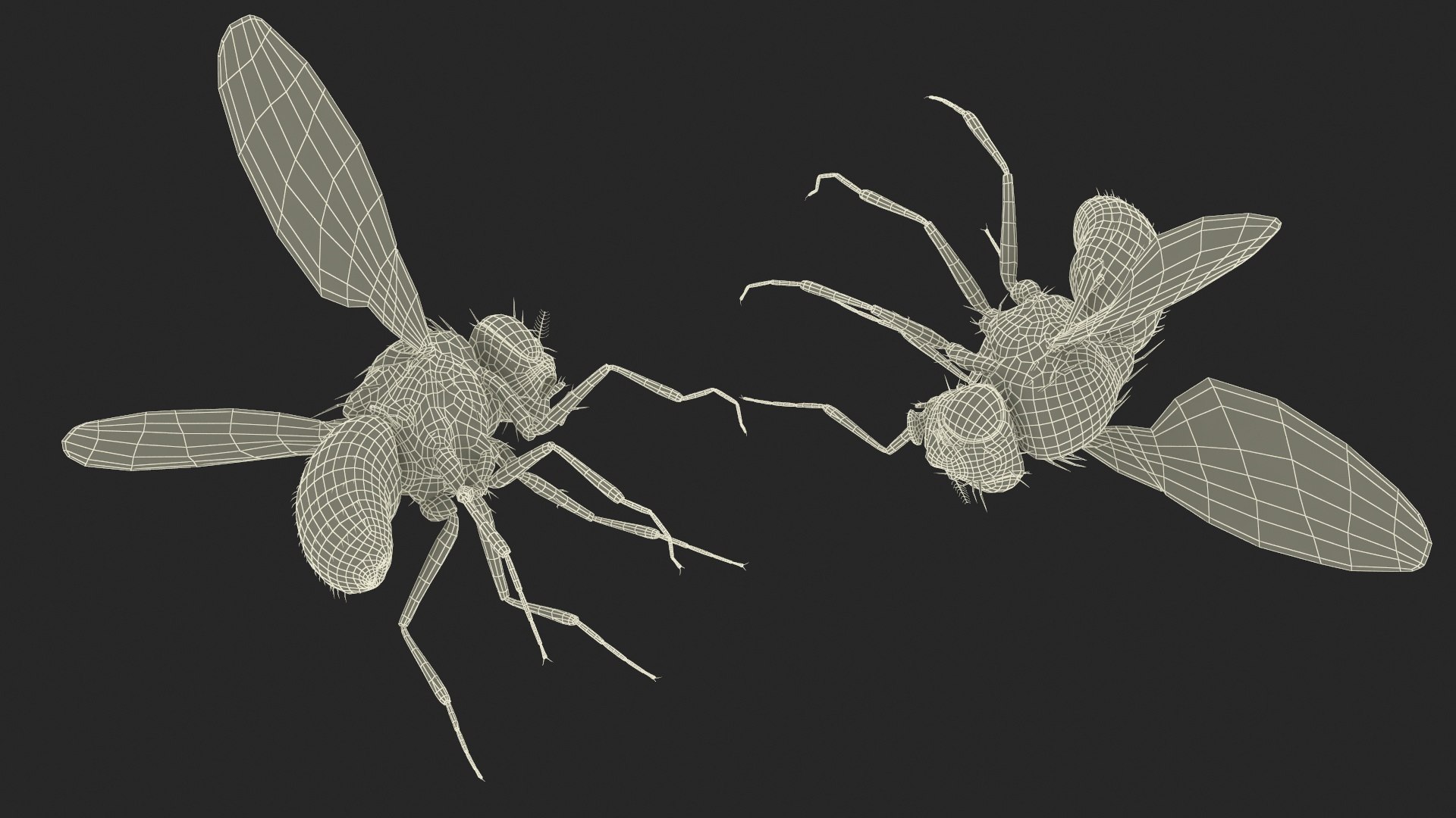 3D Drosophila Dead Fur Model - TurboSquid 2359905