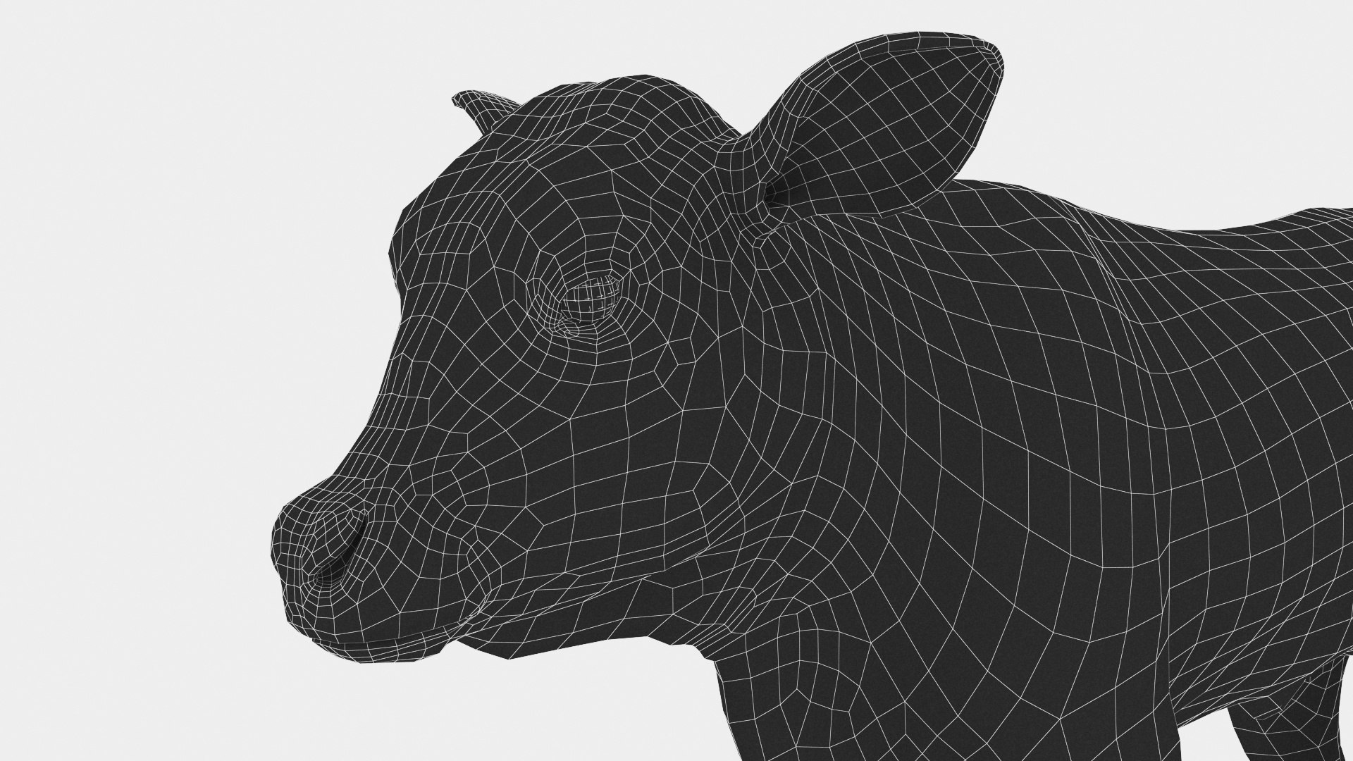 Calf 3D Model - TurboSquid 1804074
