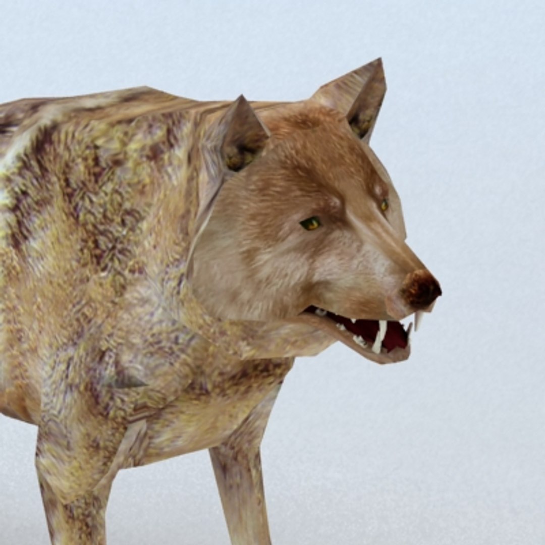 3d Wild Wolf