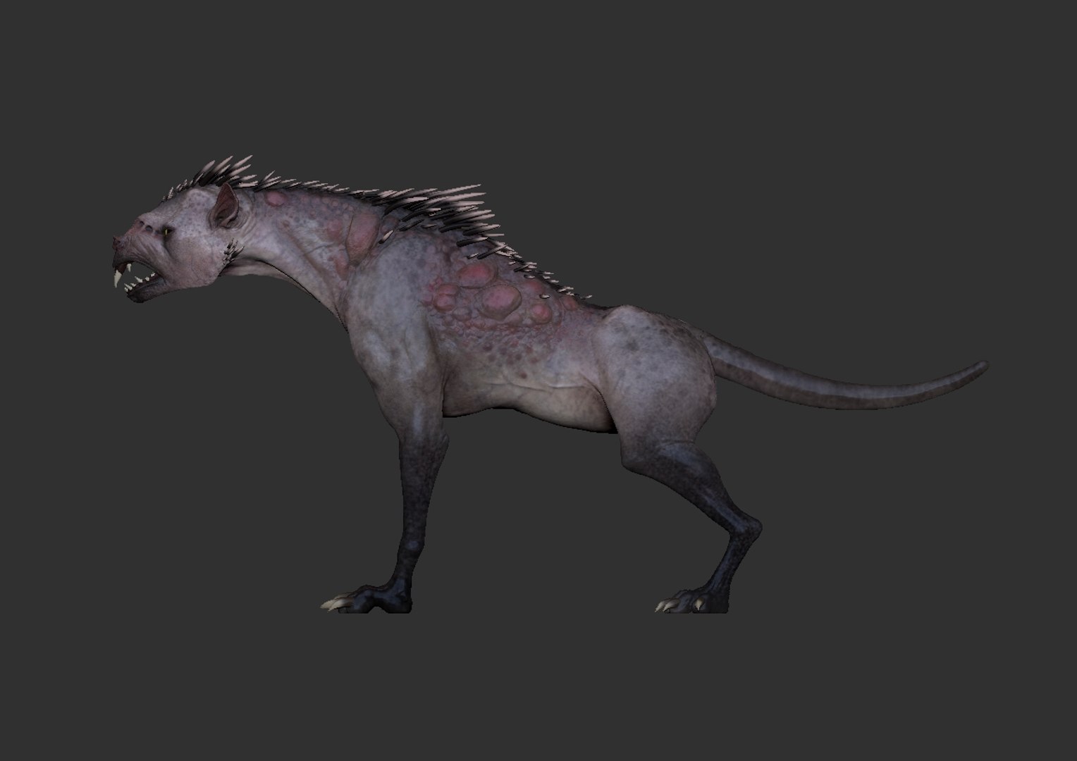 Chupacabra 3D Model - TurboSquid 1398035