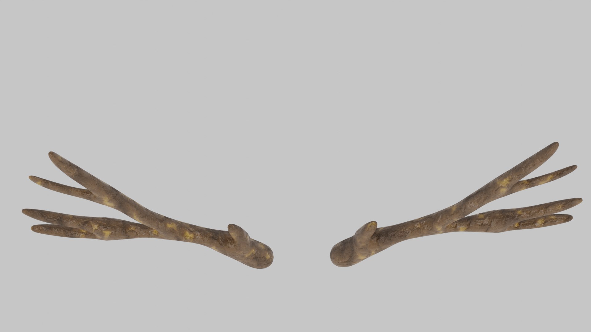 3D Reindeer Antlers model - TurboSquid 1988712
