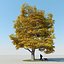 3d Realistic Maple Trees Autumn Model