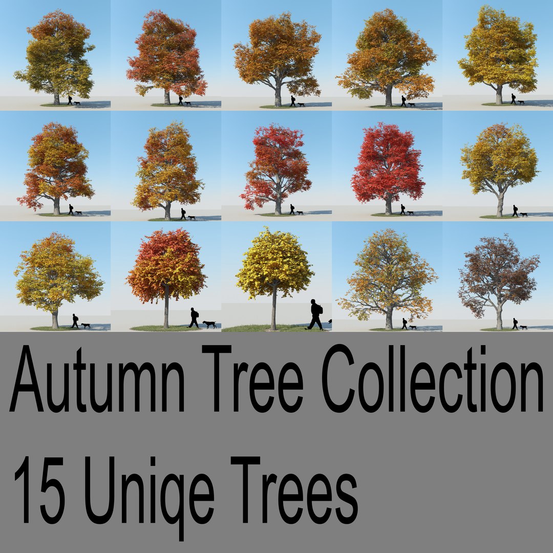 3d Realistic Maple Trees Autumn Model