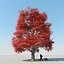 3d Realistic Maple Trees Autumn Model