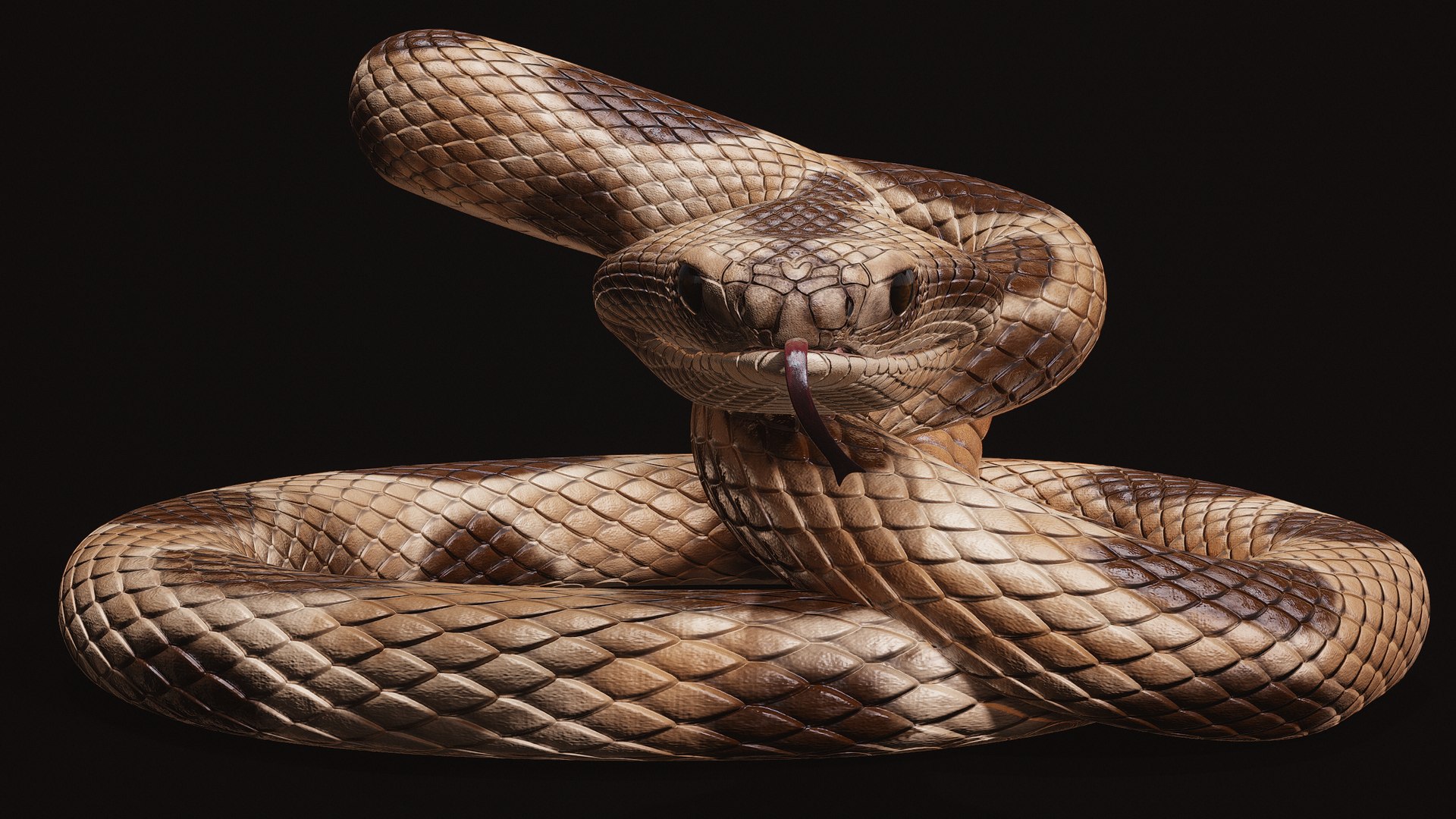 3D rigged rattlesnake model - TurboSquid 1649762