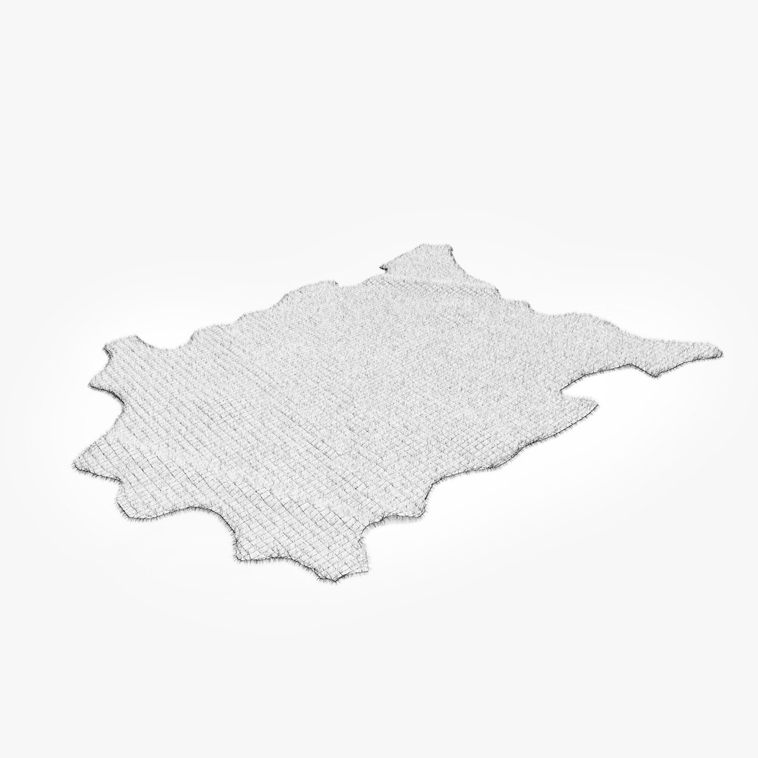3D Animal Hide - TurboSquid 1860006