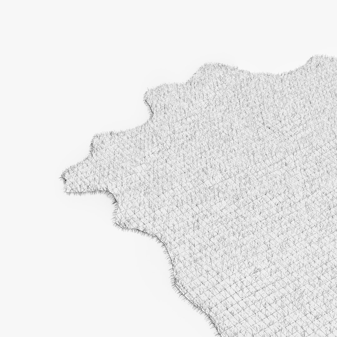 3D Animal Hide - TurboSquid 1860006