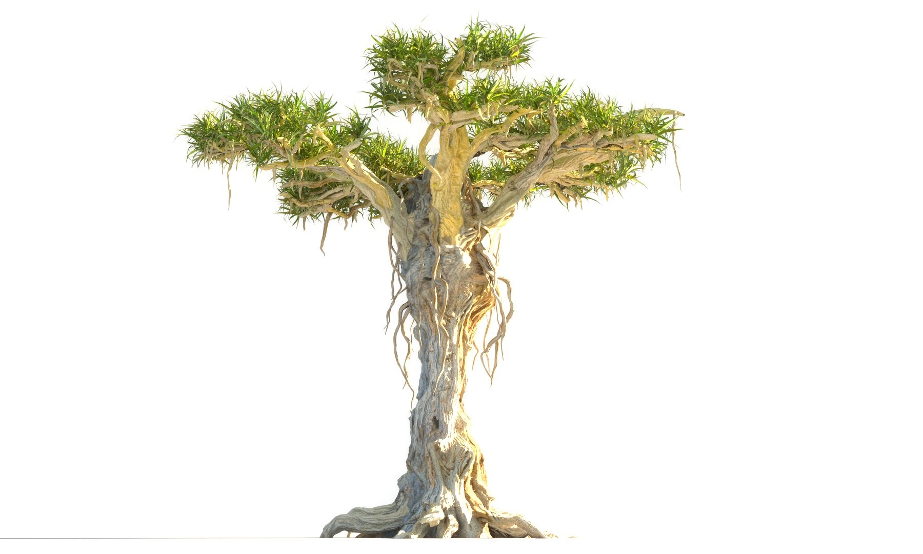 Dragon tree pack hd 3D model - TurboSquid 1392230