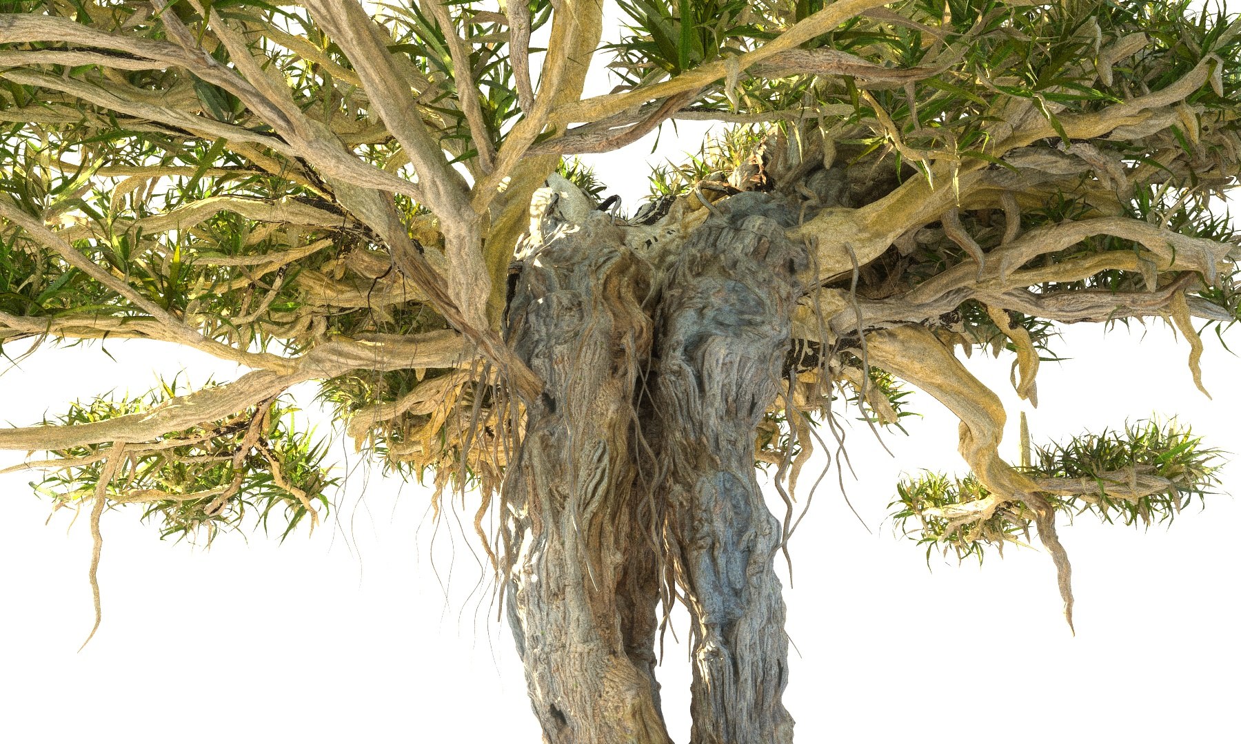 Dragon tree pack hd 3D model - TurboSquid 1392230