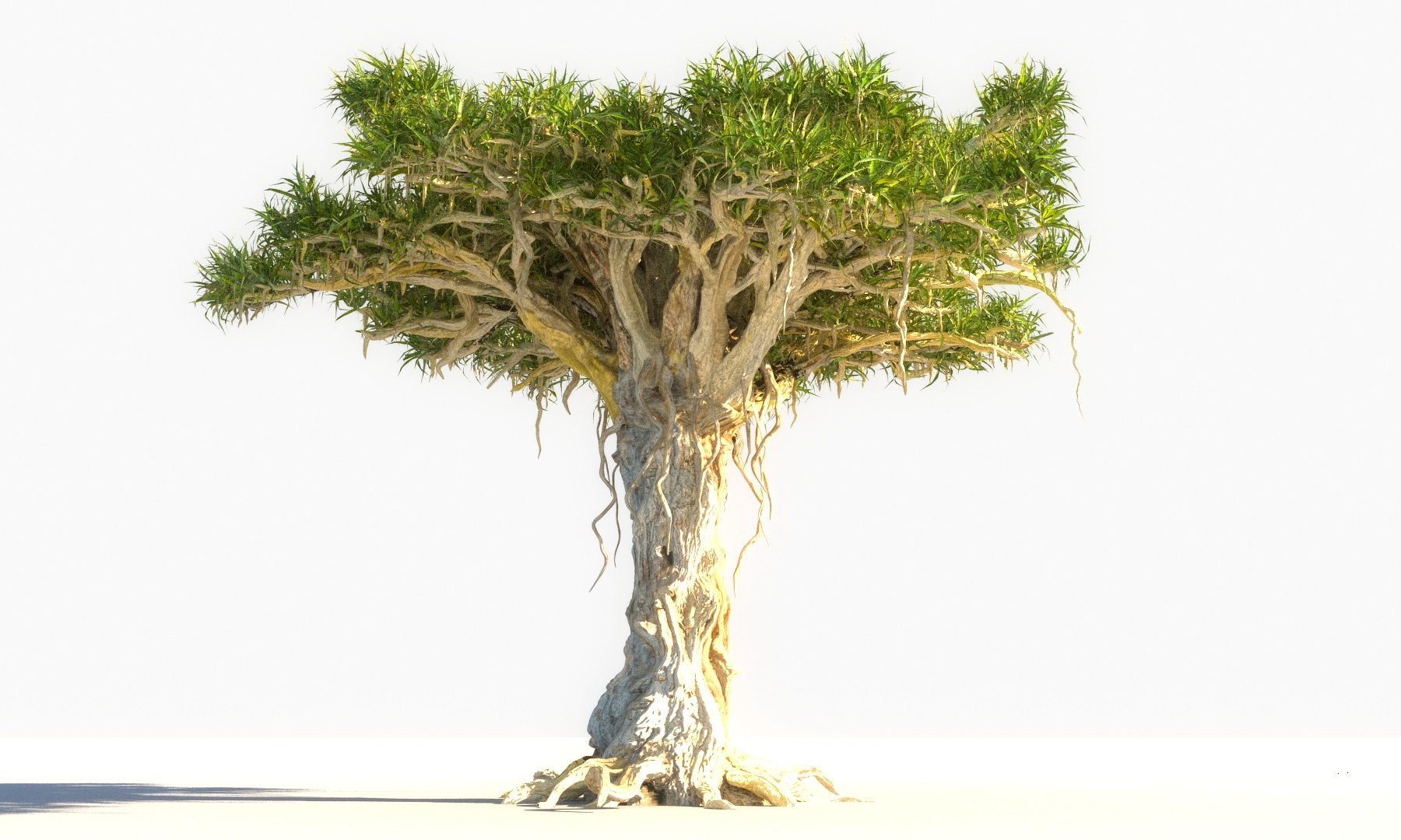 Dragon tree pack hd 3D model - TurboSquid 1392230