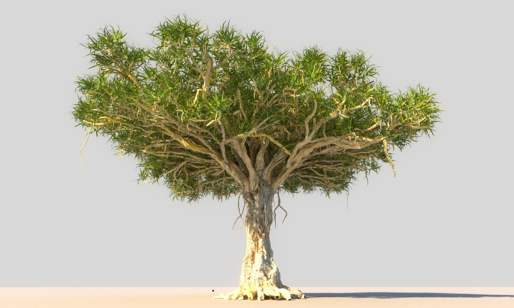 Dragon tree pack hd 3D model - TurboSquid 1392230