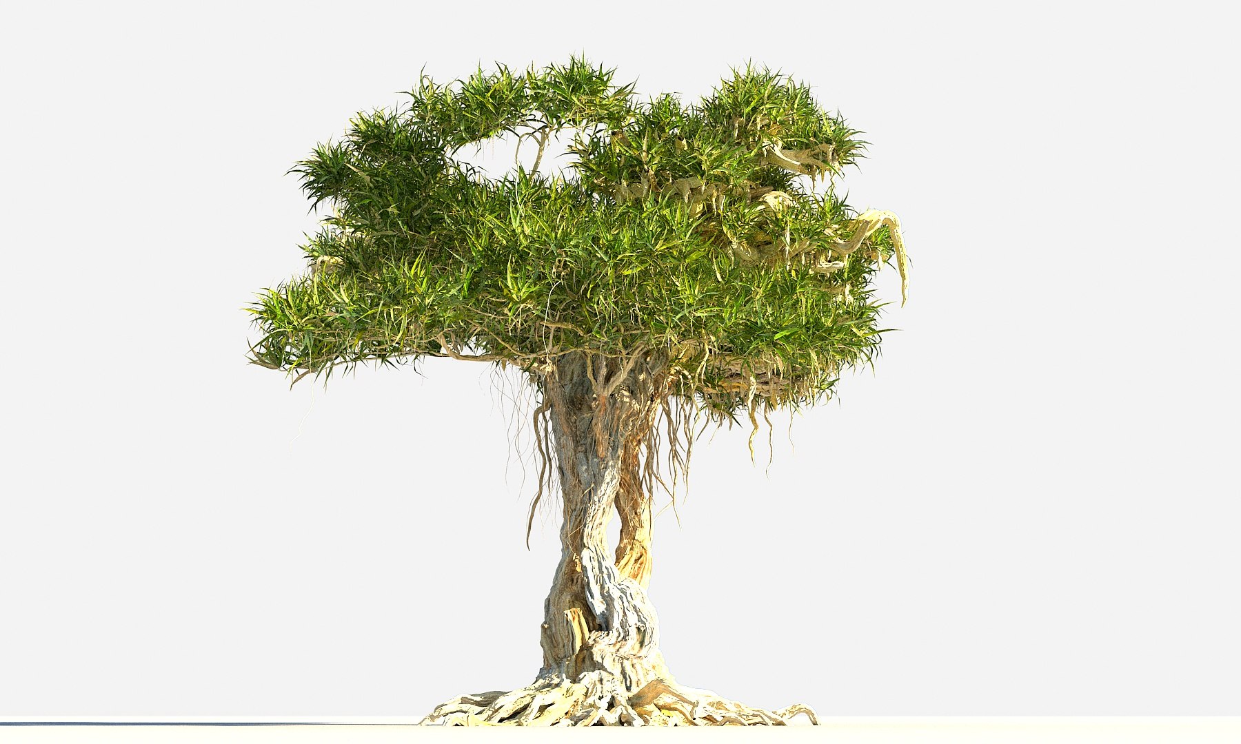 Dragon tree pack hd 3D model - TurboSquid 1392230