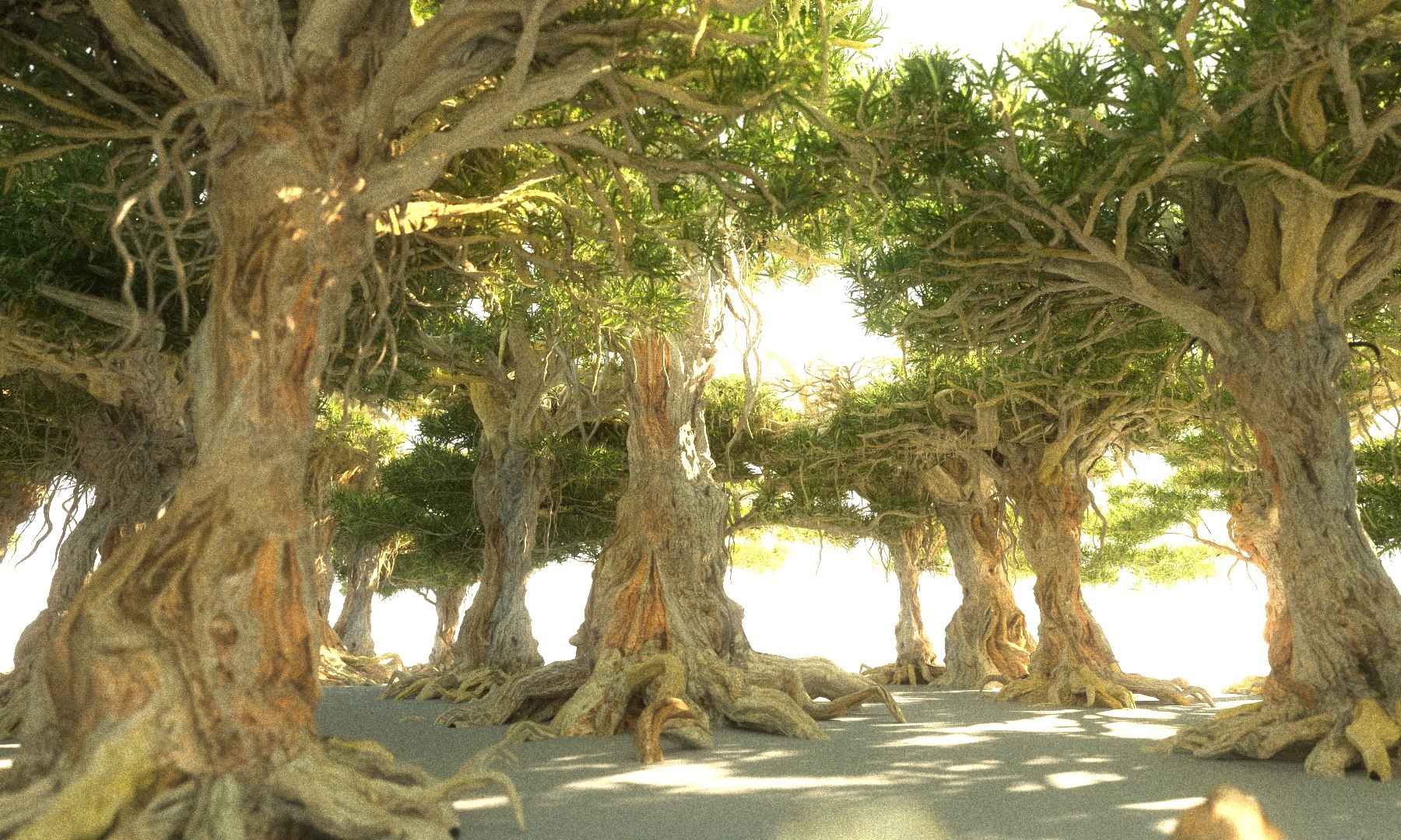 Dragon Tree Pack Hd 3D Model - TurboSquid 1392230