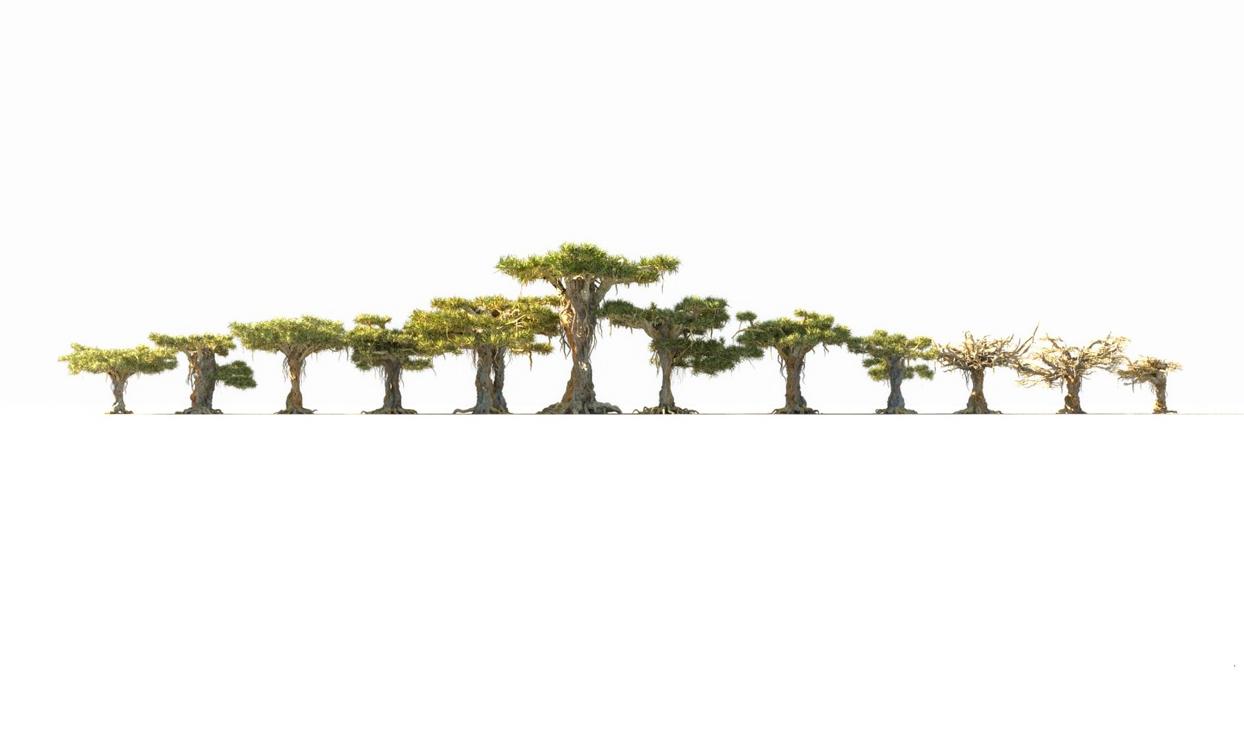 Dragon Tree Pack Hd 3D Model - TurboSquid 1392230