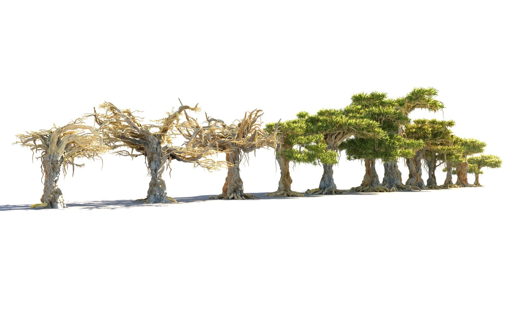 Dragon Tree Pack Hd 3D Model - TurboSquid 1392230